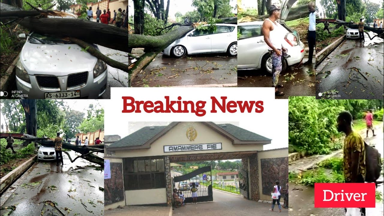 Breaking!! 😭 Driver nearly got k!lled by big tree from a boisterous ...