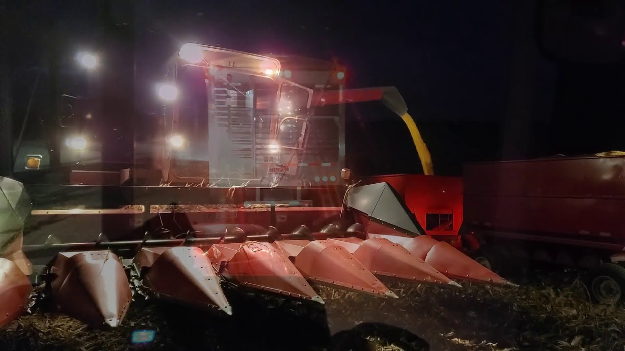 IH 1460 Combine, Case IH 5140 Tractor Corn Harvest - YouTube
