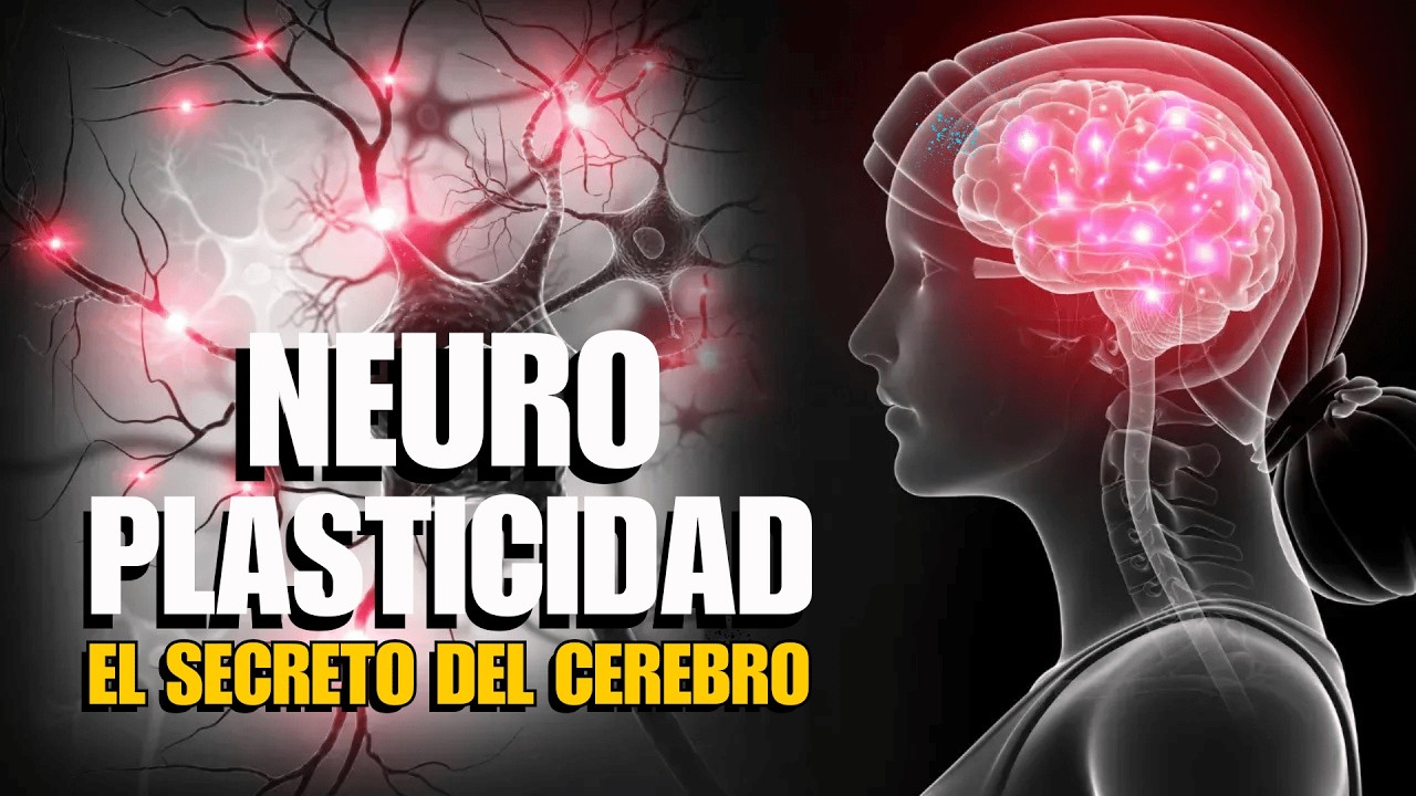 ¿Se puede Vivir sin CEREBRO 🧠? - YouTube