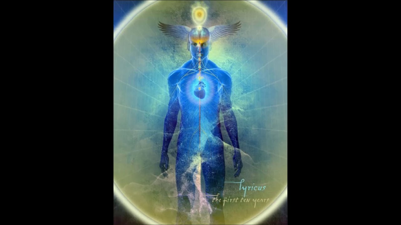 Wingmakers chambers 17-24（小循環 / music cycle） - YouTube