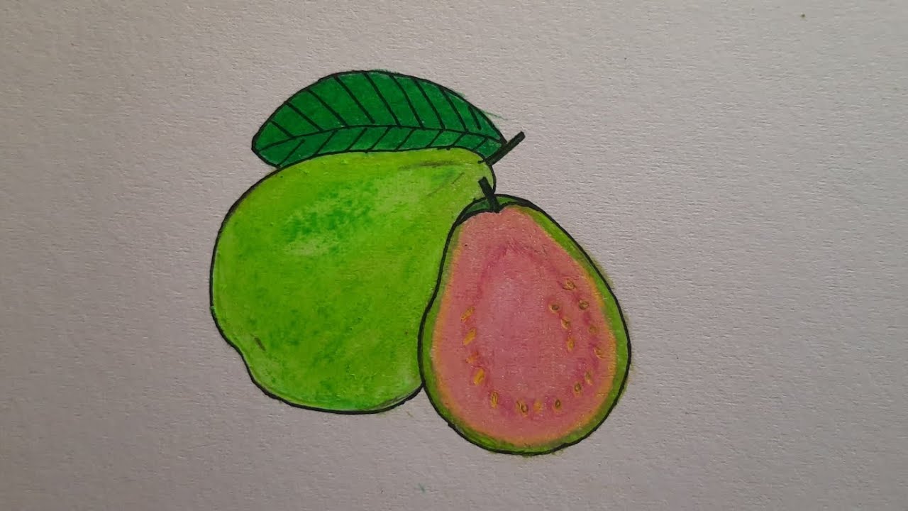 How to draw Guava l How to paint Guava with oil pastels l Peru l Amarud ...