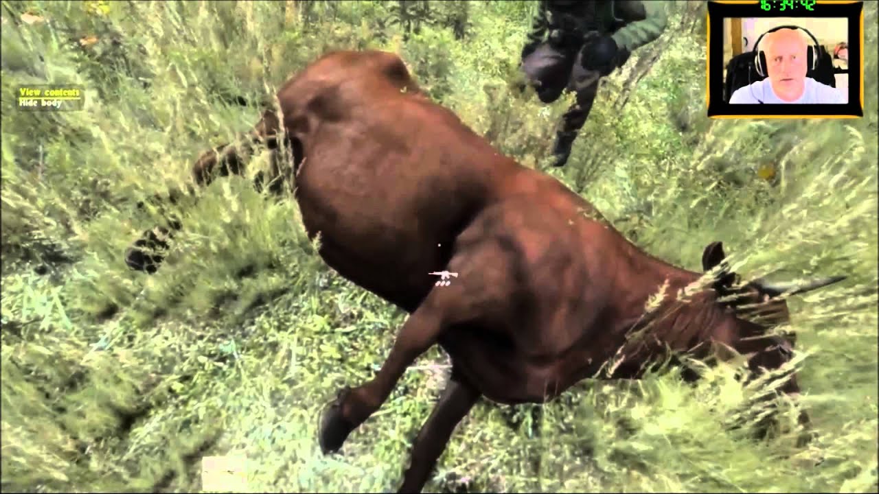 DayZ Cow giving birth to Jaffaman. - YouTube
