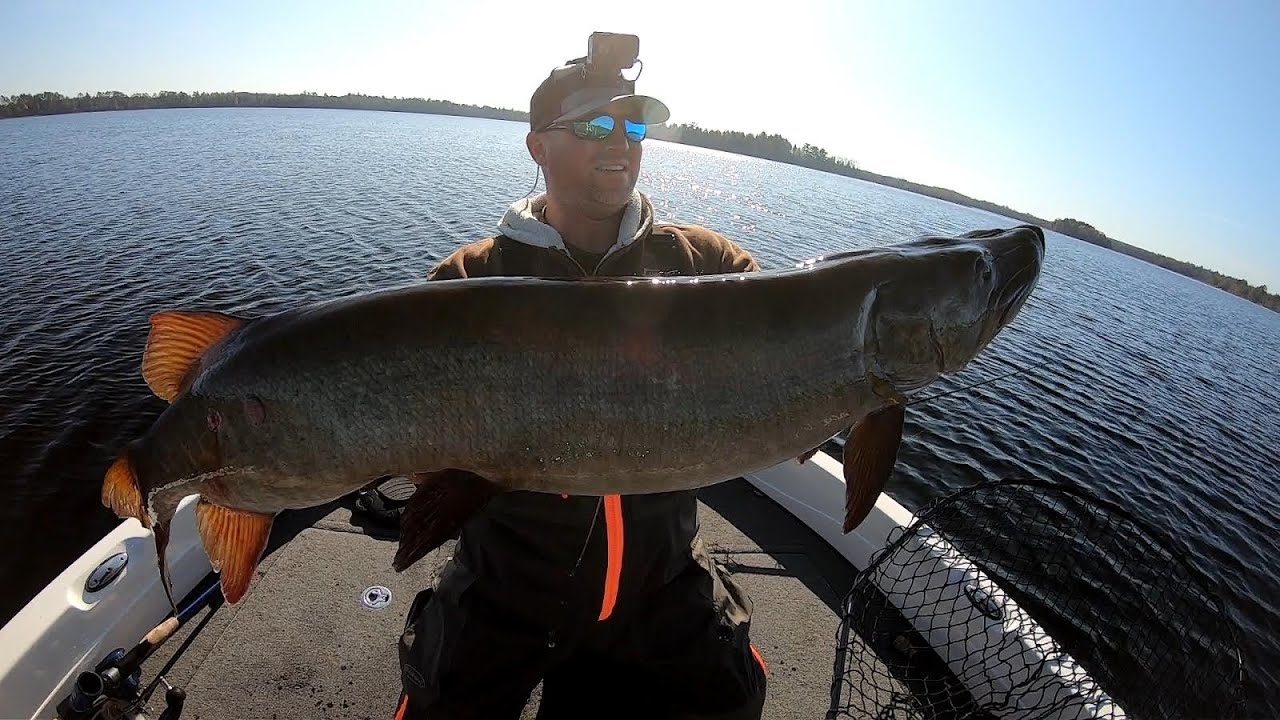 10 MUSKIES in 10 MINUTES!!! Back to back to back musky action!! - YouTube