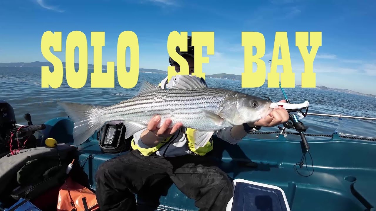 These Striper Won't Let Me Catch My Halibut - YouTube