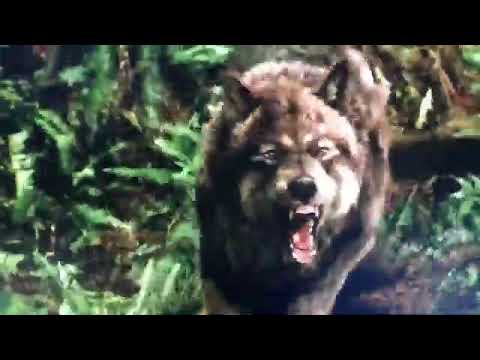 Twilight Wolves - Running with the Lions (Loving Caliber feat. Willow ...