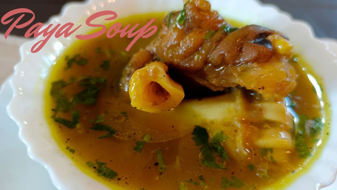 Healthy Paya soup recipe || Lamb Trotters Soup recipe || Healthy Soup ...