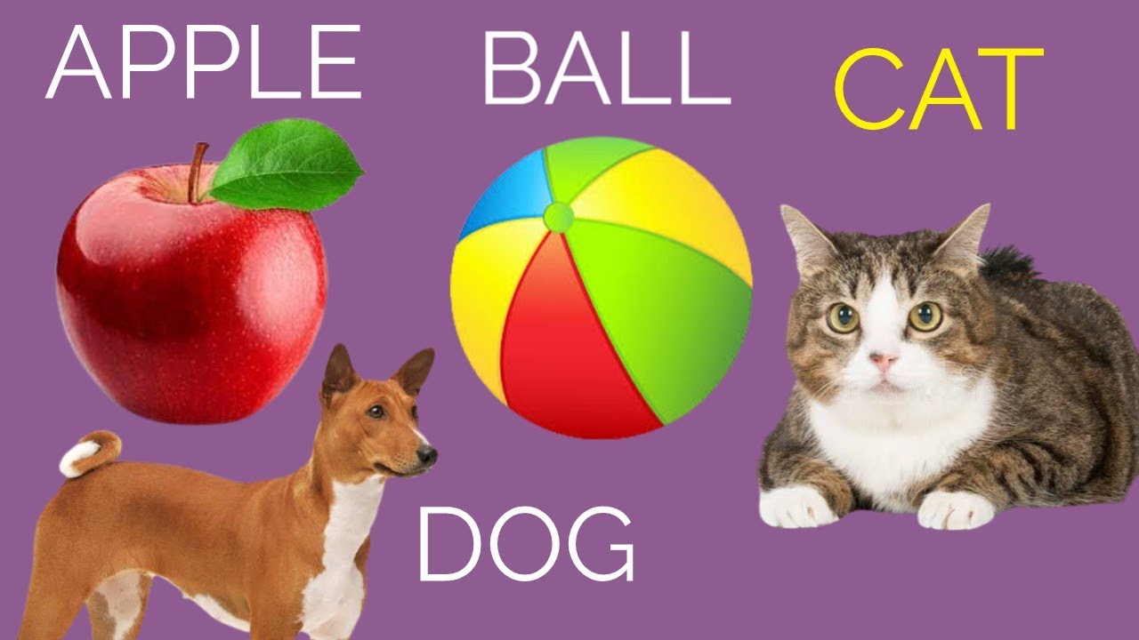 A B C D Apple Ball Cat Dog L Kids Learning Video YouTube a-b-c-d-apple-ball-cat-dog-l-kids-learning-video-youtube