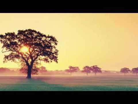 Biggie Prime-Consider me Lyrics video - YouTube