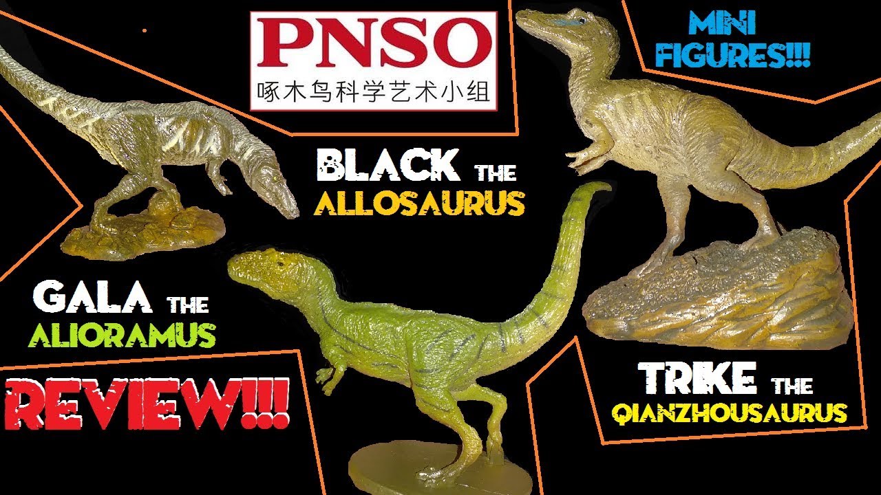 PNSO Mini Review #13!!! Allosaurus, Alioramus & Qianzhousaurus!!! - YouTube