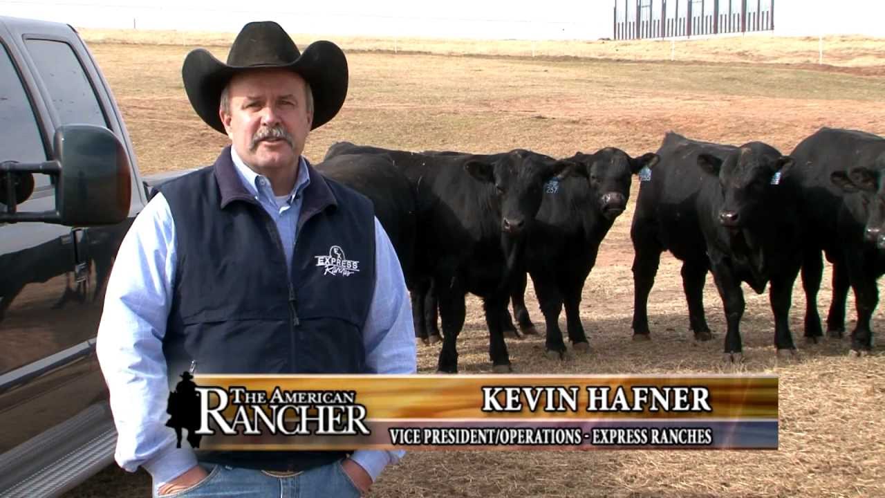 Express Ranches featured on The American Rancher - February 2013 - YouTube