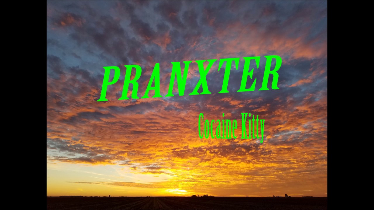 PRANXTER Cocaine Kitty raw recording - YouTube