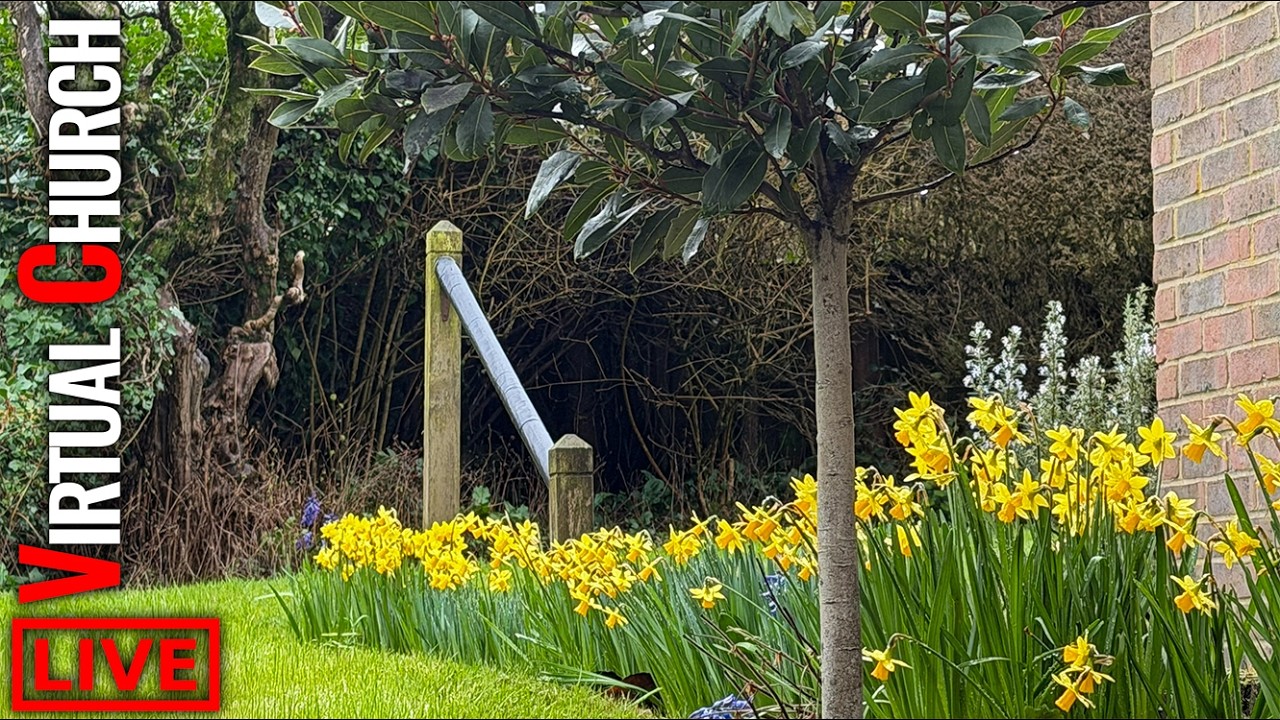 🔴 Our Daffodils Are Out | POPULAR HYMNS FOR SPRING!! - YouTube
