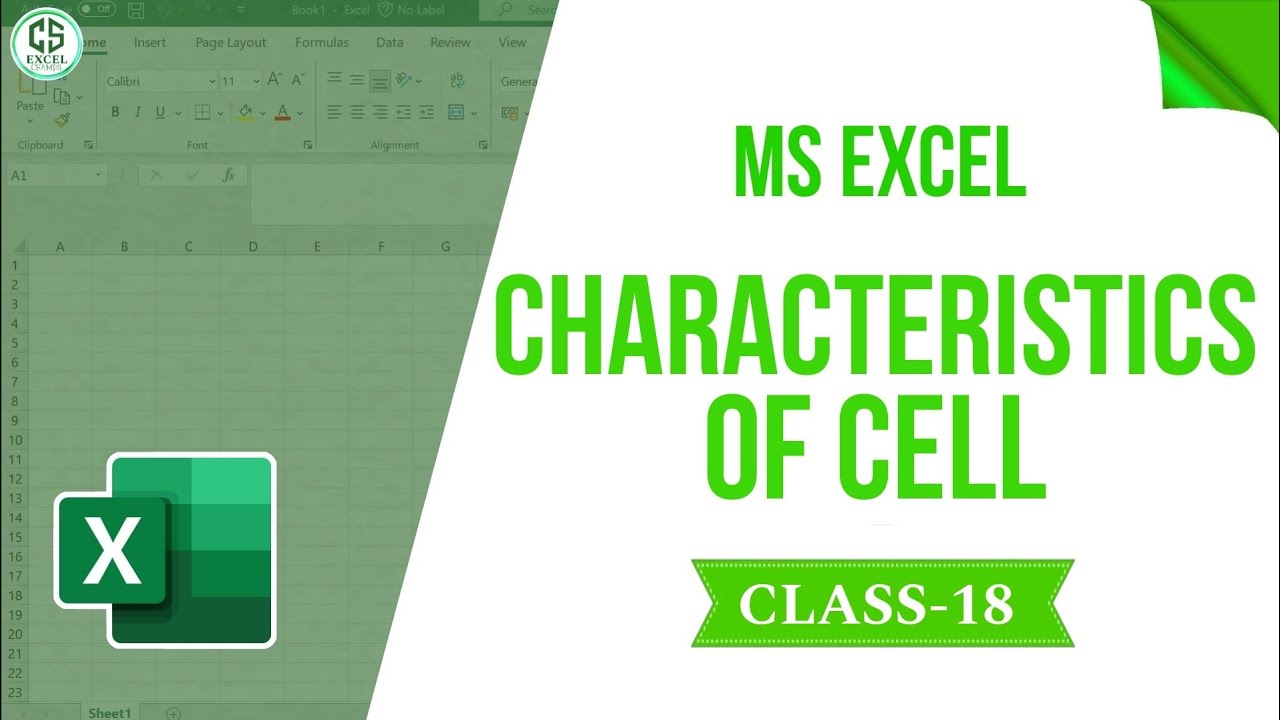 MS Excel - Characteristics of Cell || CL-18 - YouTube
