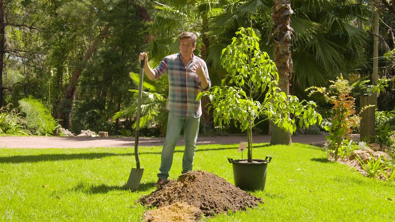The Garden Gurus - Planting Trees with Troforte M - YouTube