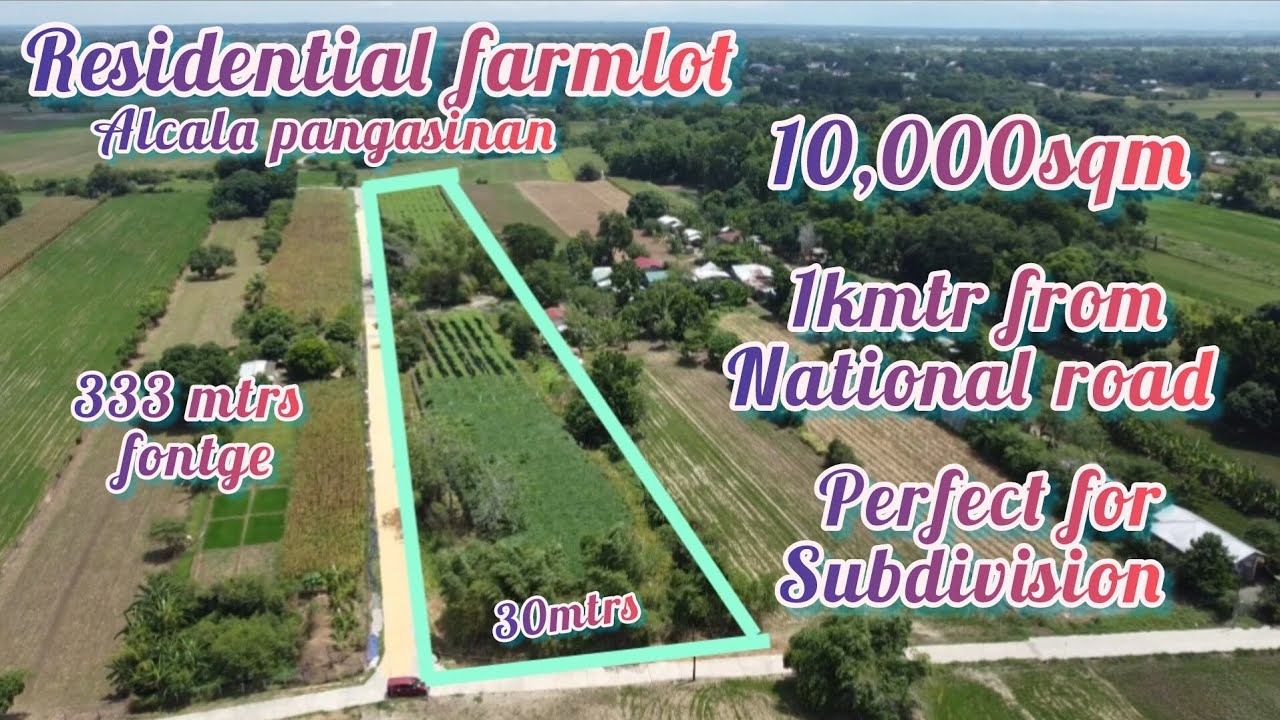 lot#255 Residential farmlot 10,000 sqm titled property 300mtrs plus ...