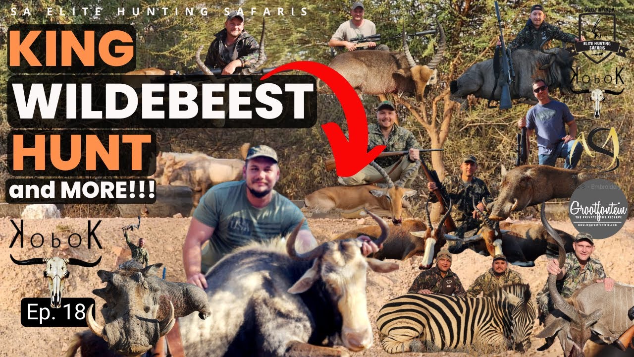 UNLOCKING the ULTIMATE HUNTING experience in South Africa: Warthog ...