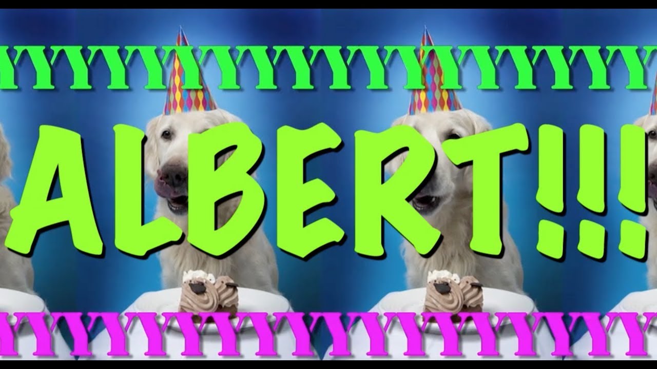 HAPPY BIRTHDAY ALBERT! - EPIC Happy Birthday Song - YouTube