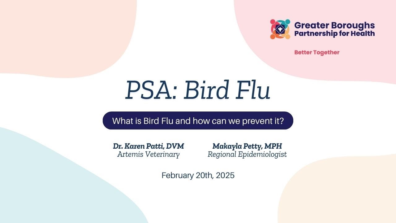 Greater Boroughs Partnership for Health: Bird Flu PSA / February 2025 ...