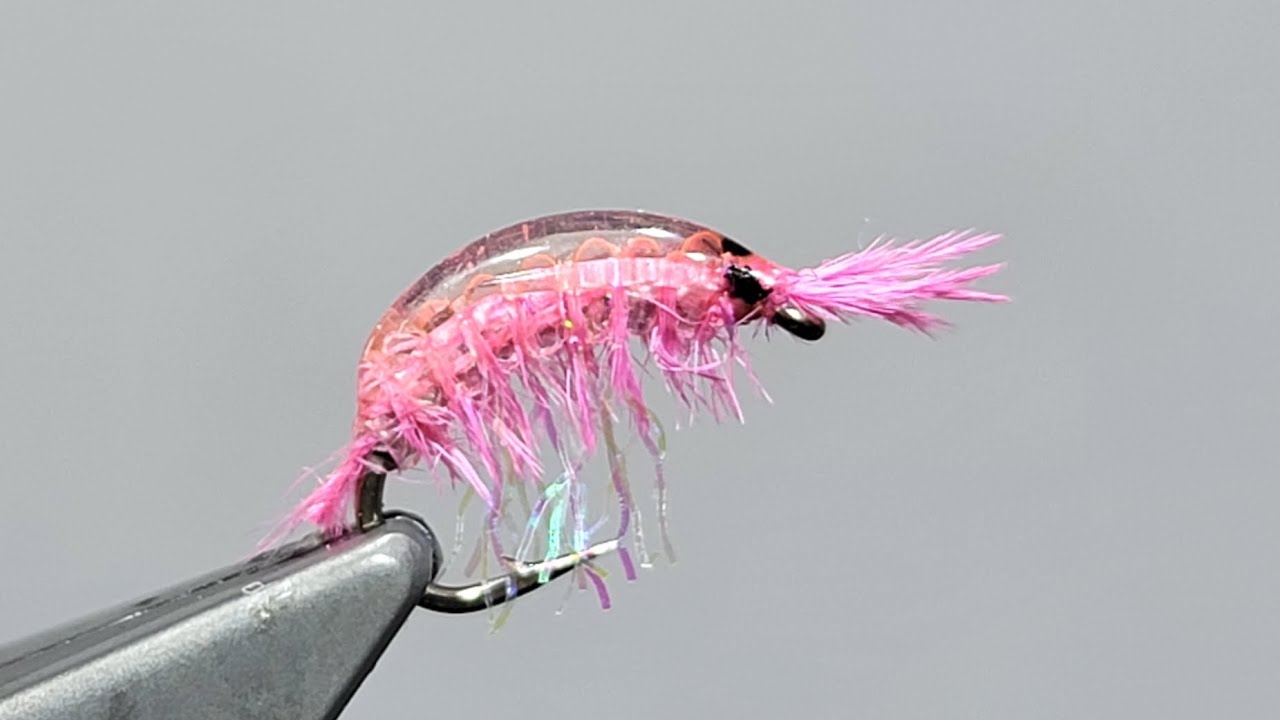Tying the BEST UV Gammarus Scud Fly (In-Depth Tutorial) - YouTube