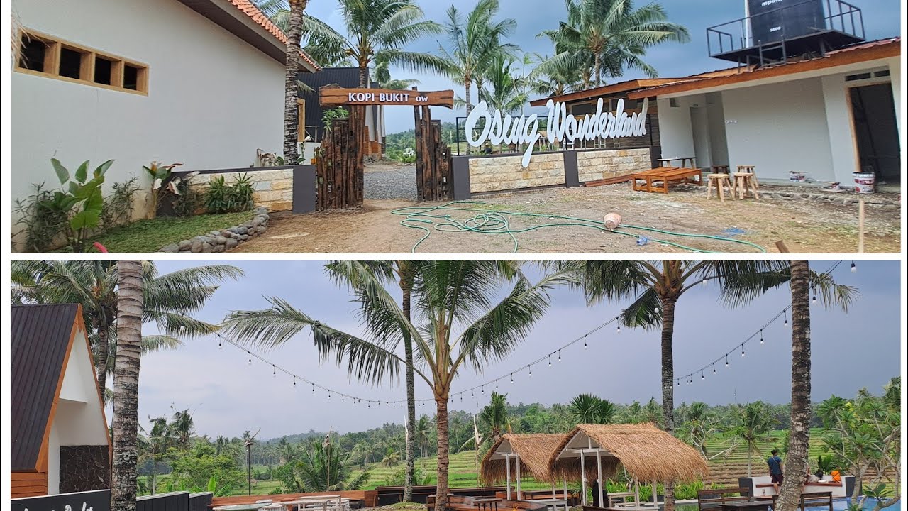 Resto Kopi Bukit Osing Wonderland || Kopi Bukit Banyuwangi - YouTube