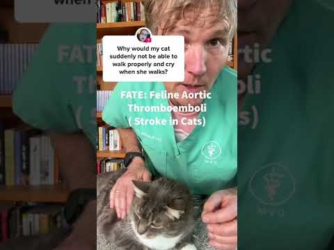 Cat suddenly unable to walk and cries