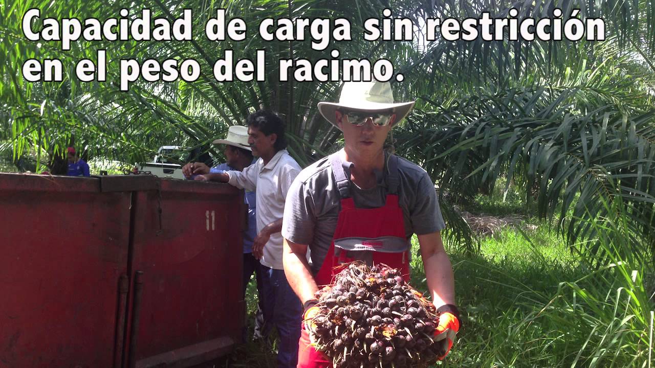 Erreppi Buffalo 2+ HR en Colombia - YouTube