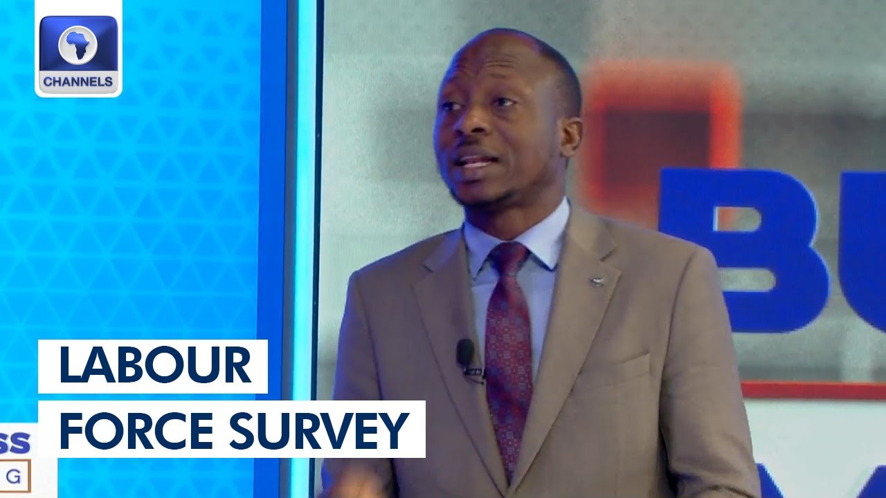 Nigeria Labour Force Survey: Understanding To Framework - YouTube