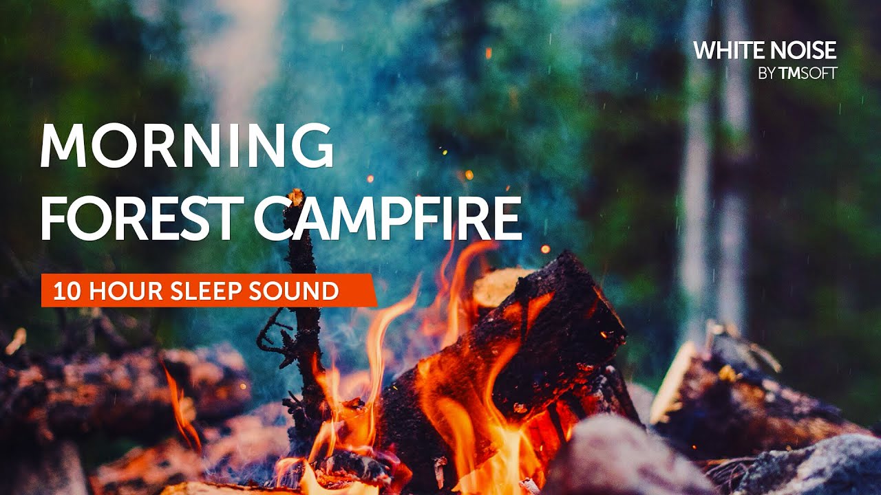 Morning Forest Campfire and Birds Sleep Sound - 10 Hours - Black Screen ...
