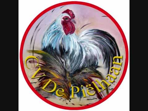 CV de Pielhaan / Muziek Kienderoptocht 2010.
