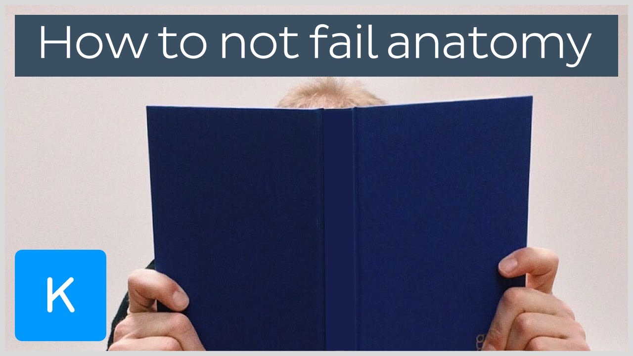 How to not fail your next anatomy exam | Kenhub - YouTube