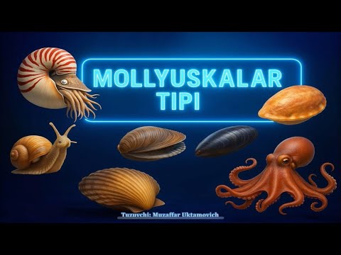 7-sinf. 14-15-mavzular(Mollyuskalar tipi).
