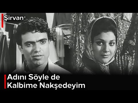 Şirvan | Ali Şirvan'a Görür Görmez Vurulur