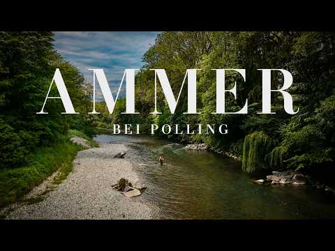 Ammer bei Polling
