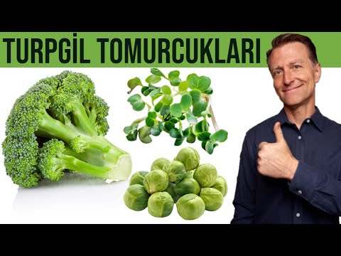 Turpgil Tomurcukları Kansere Karşı 100 Kat Daha Güçlüdür | Dr.Berg Türkçe