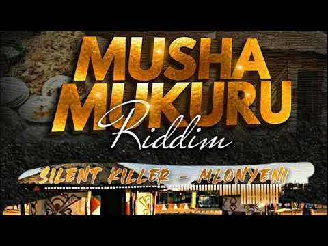 Silent Killer - Mlonyeni (Musha Mukuru Riddim) Prod By Dj Tarks // Zimdancehall 2021 - YouTube