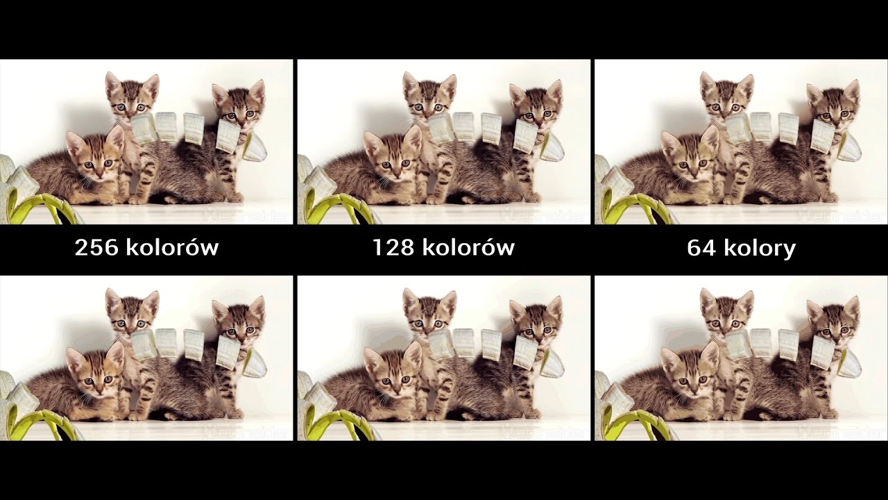 Video2GIF: Photoshop GIF compression test - YouTube