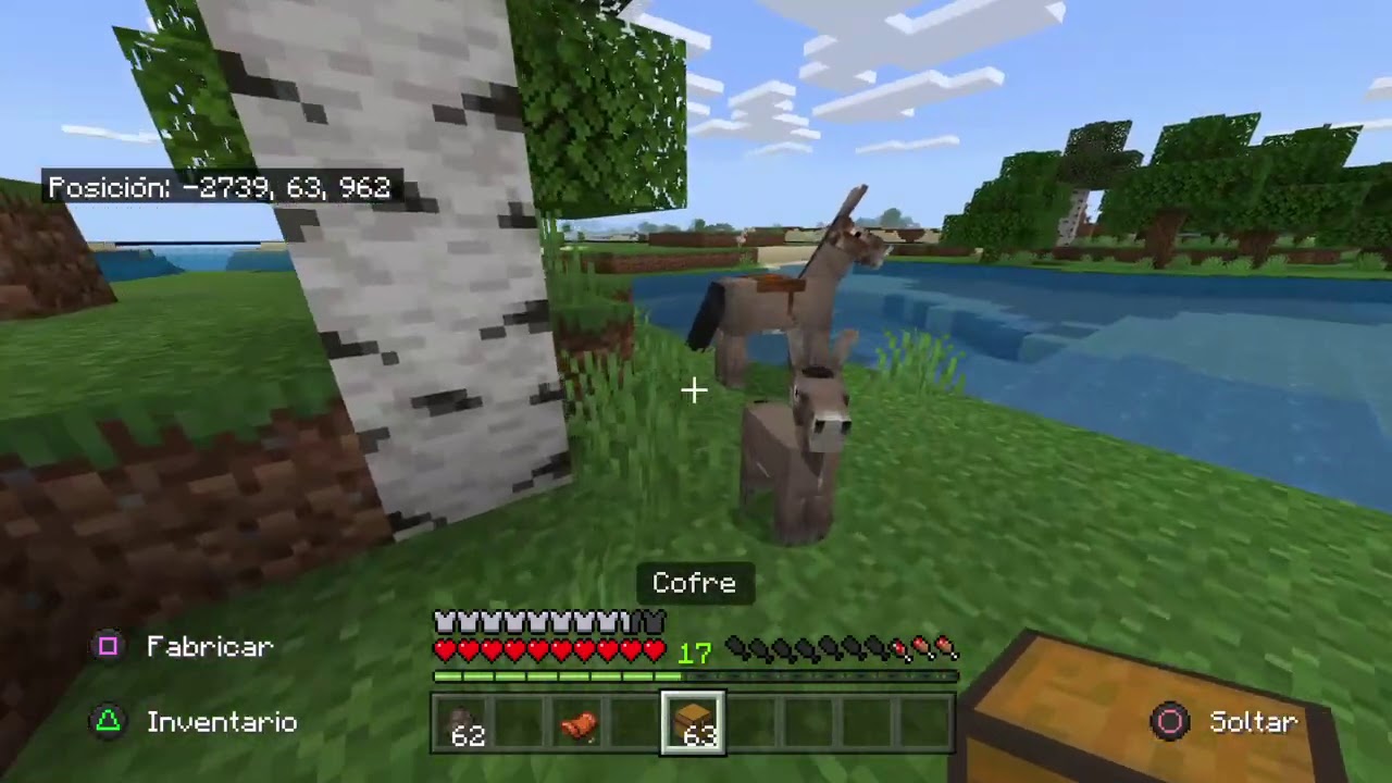 Como ponerle COFRE a un BURRO en MINECRAFT | Videojuegos World - YouTube