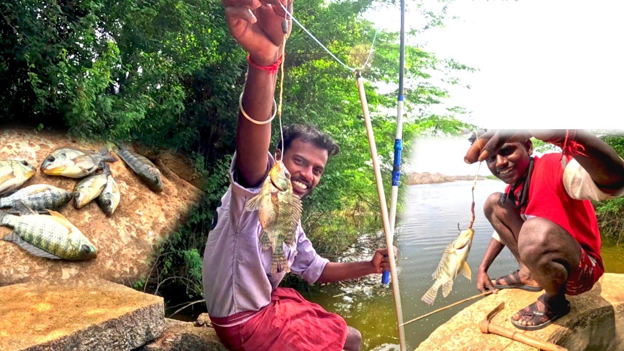 Thoondil Fish Catching..! Hook Fishing Tilapia #fishing - YouTube