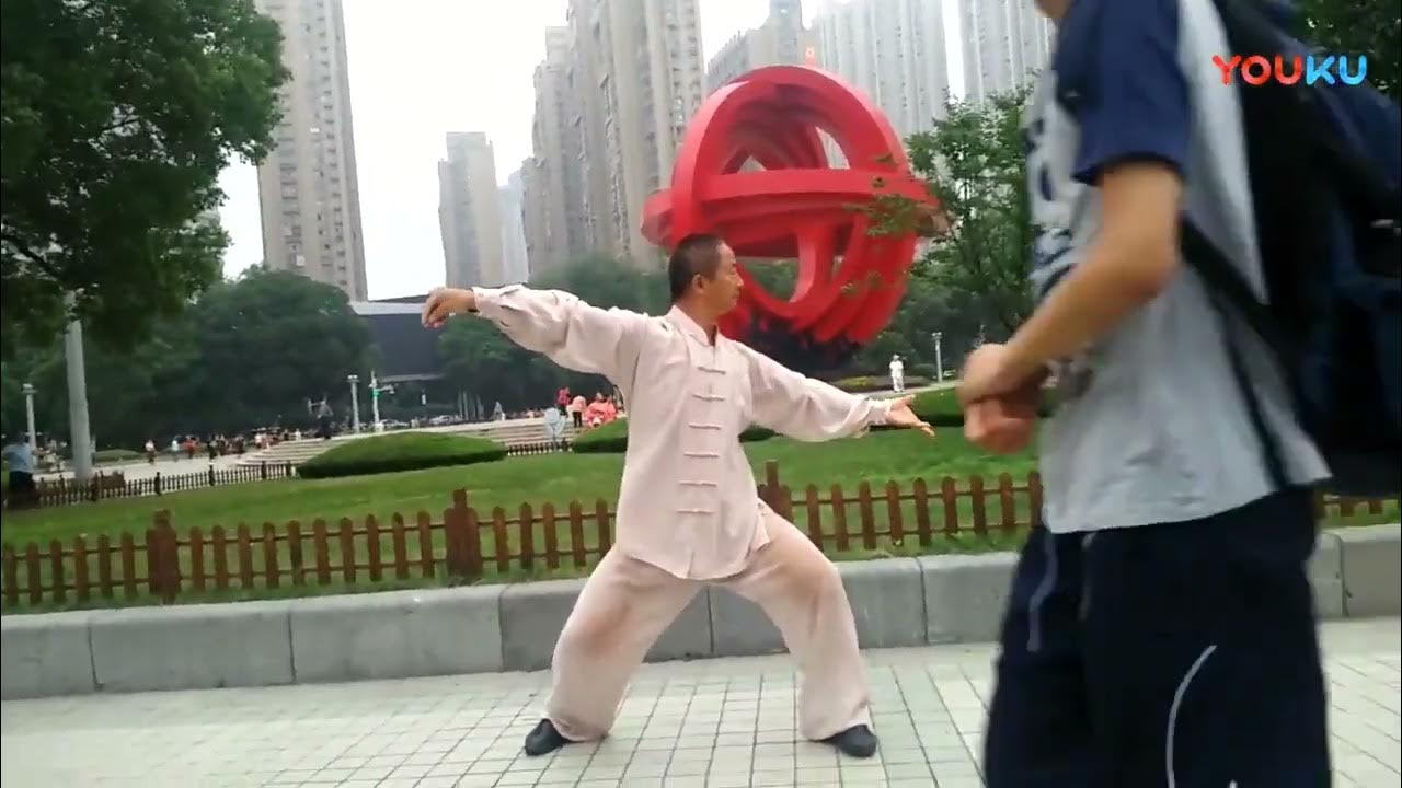 Yang Style Taijiquan Old Frame Thirteen Stances Changquan Wang Jun Practice - YouTube