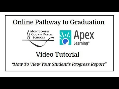 Apex Progress Report Video Tutorial - YouTube