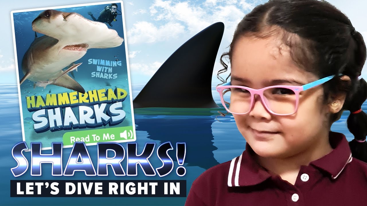 Hammerhead Sharks! Swimming with Sharks | Children's Book Read Aloud ...