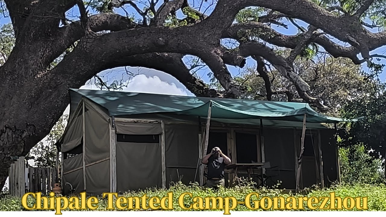 Best Places to Stay in Gonarezhou | Chipale Tented Camp - YouTube