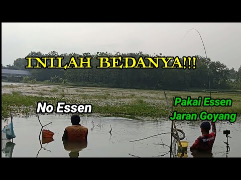 INI KENYATAAN!!! Bukti Bahwa Pemancing Harus Pakai Obat PERANGSANG