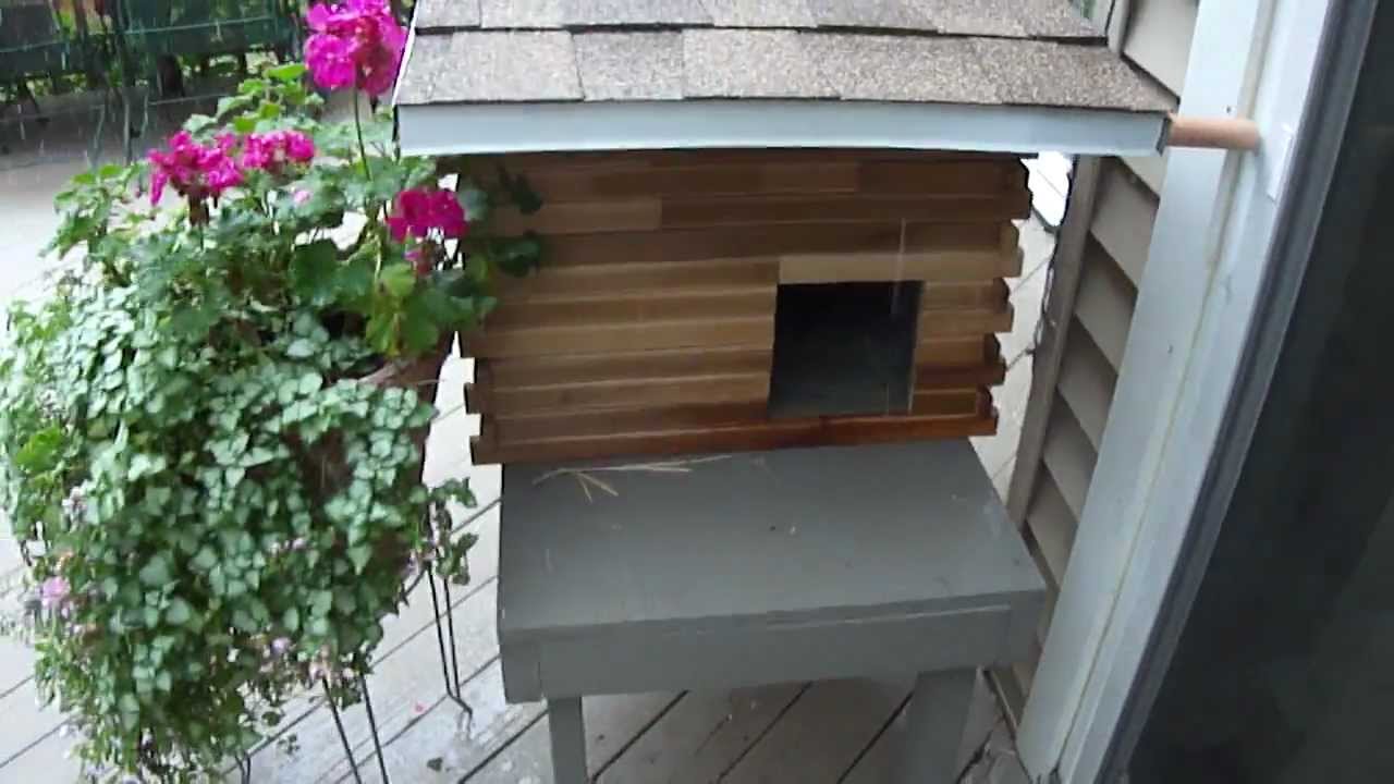 Cathouse Log Cabin. Cat house - YouTube
