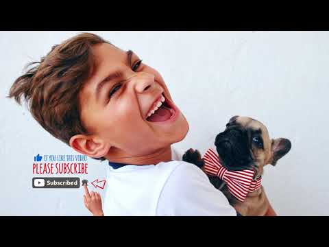 After Effects Kurumsal Web Site Youtube Tanıtım