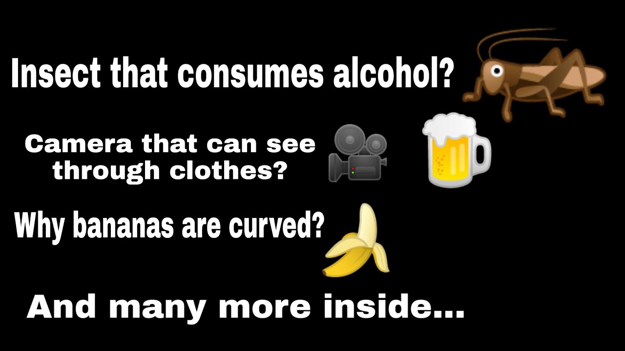 INTERESTING AND UNKNOWN FACTS EPISODE 1 ENGLISH YouTube interesting-and-unknown-facts-episode-1-english-youtube