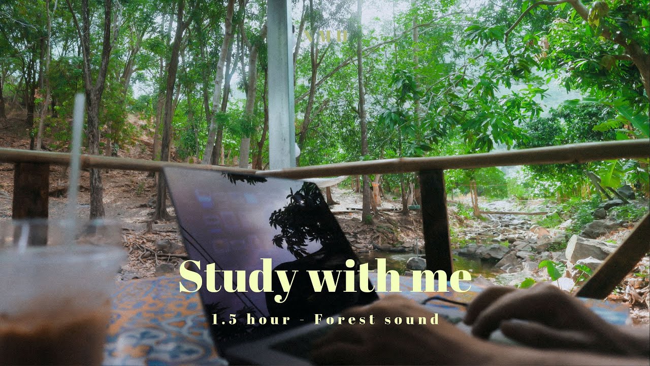 1.5 hour study with me, forest sound, Pomodoro technique 30/5. - YouTube