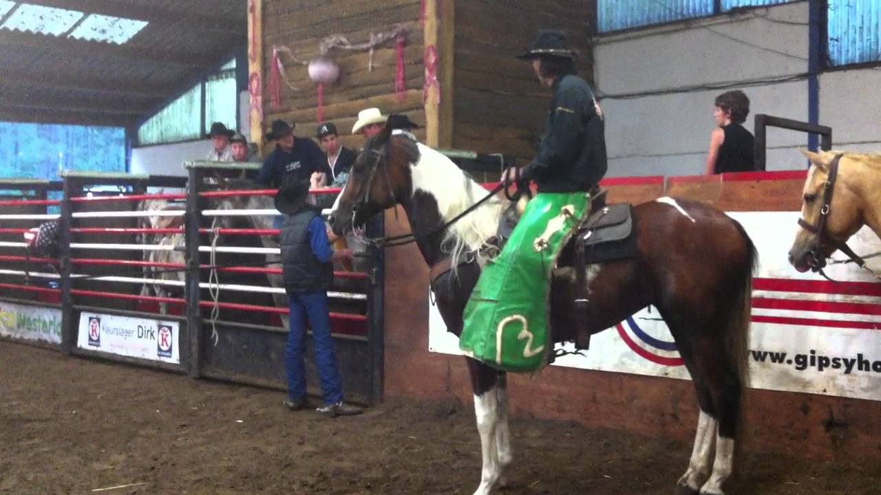 Rodeo training @Gipsy Horses New Edition - YouTube