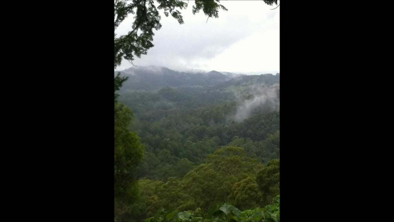 steve gilpin, rollover by under rapz - YouTube