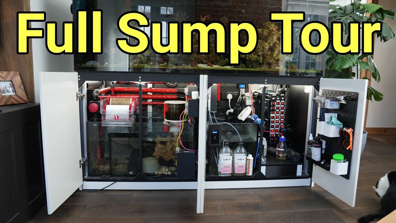 Red Sea Reefer G2 Sump Tour - YouTube